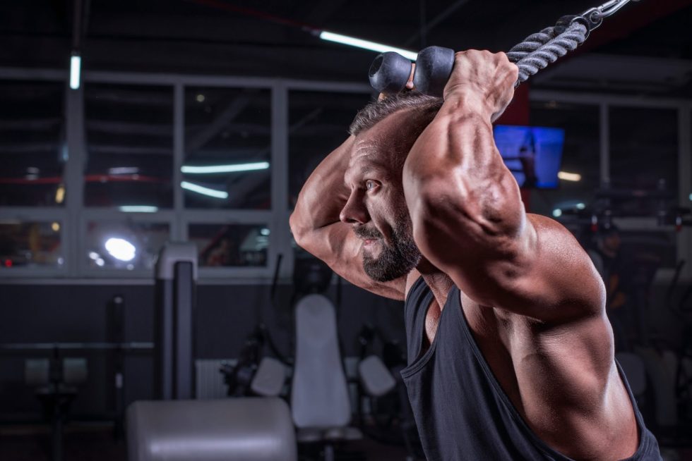 Exercises for the Medial Head of the Tricep - Workout Tips Video